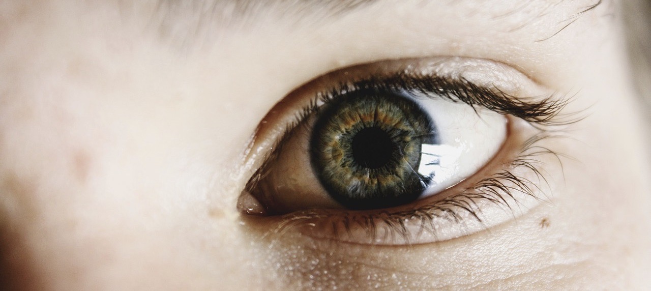 University of Sydney develops artificial retina using biomedical ...