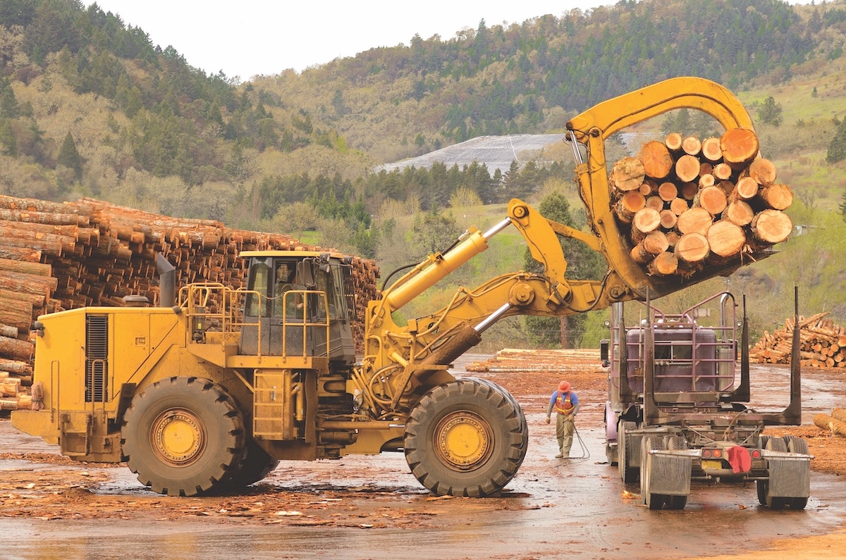 From sawdust to success: Timken delivers timber mill triumph for timber ...